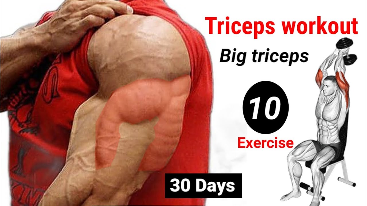 The Best Exercises for Bigger Triceps | fitness workout - YouTube