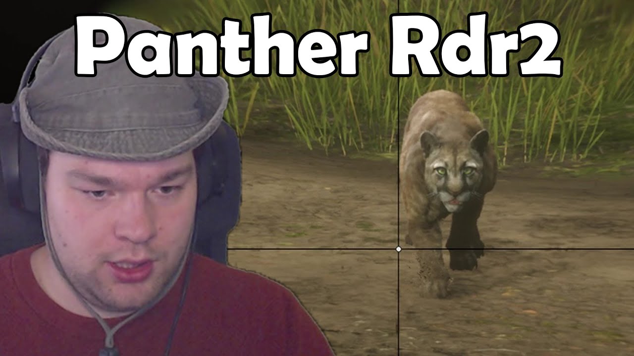 Hunting Panther location in Rdr2 - YouTube