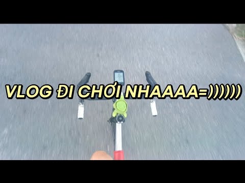 Đi chơi với tobi😋 - YouTube