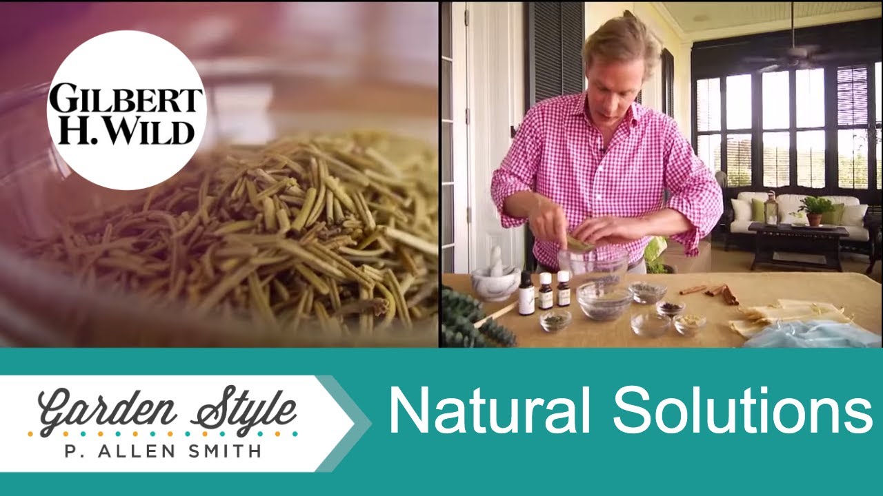 Natural Solutions for the Home and Garden | Garden Style (1417 ) - YouTube