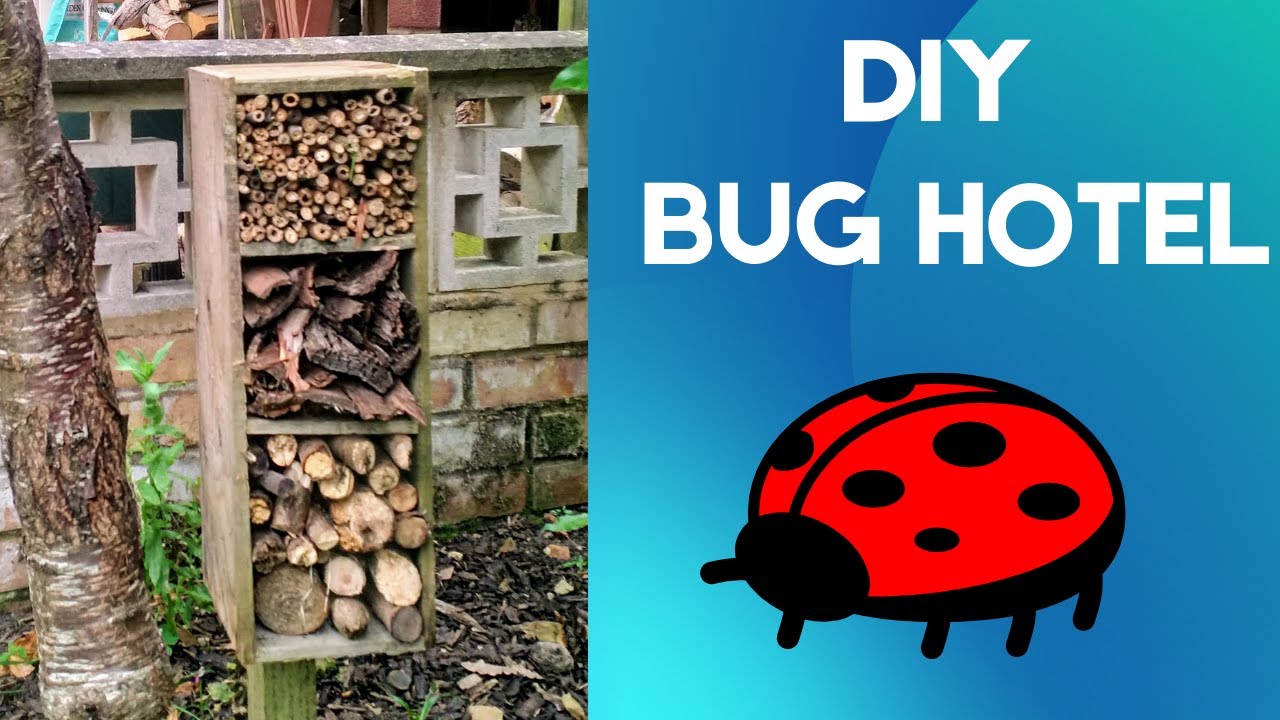 DIY Bug Hotel for Ladybirds/Ladybugs. - YouTube