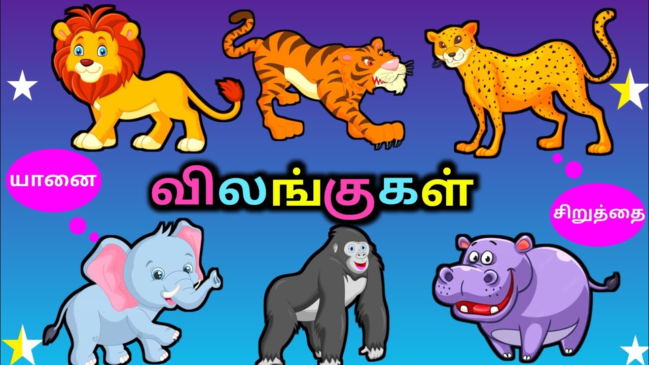 Animals Name learn Animals Names In Tamil animals-name-learn-animals-names-in-tamil