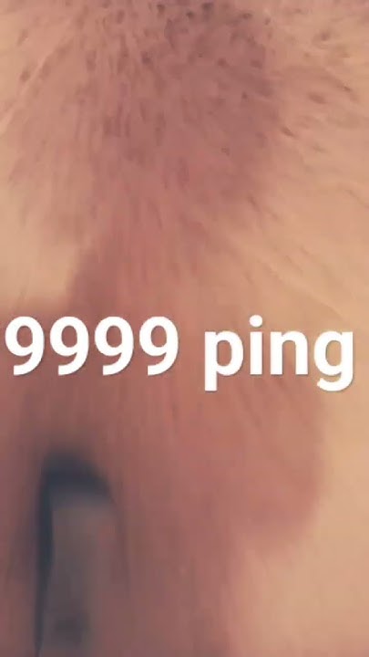 #memes #funny ping 9999 be lik: - YouTube