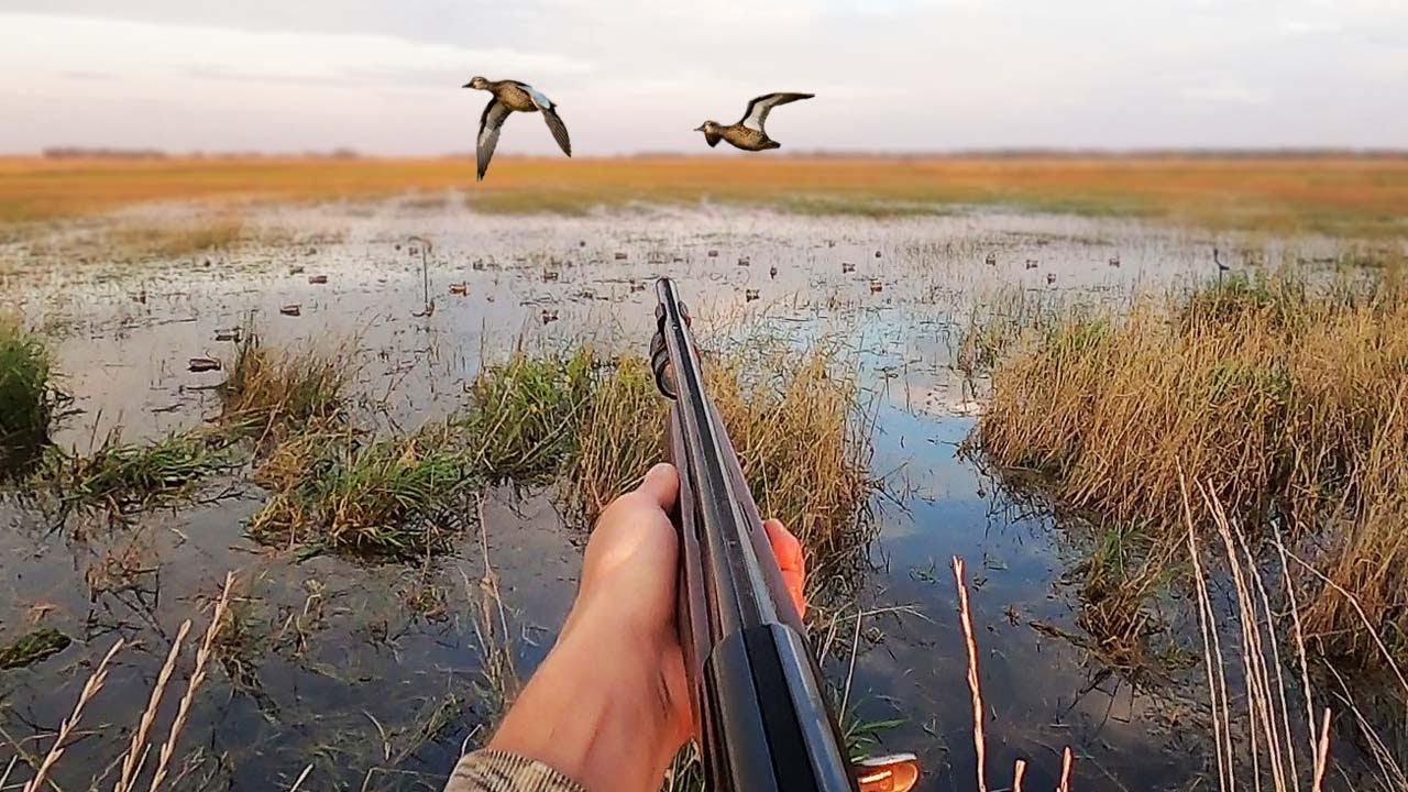Ducks DUMPED Into Our Decoy Spread! (Limited Out) | Hunting a TINY ...