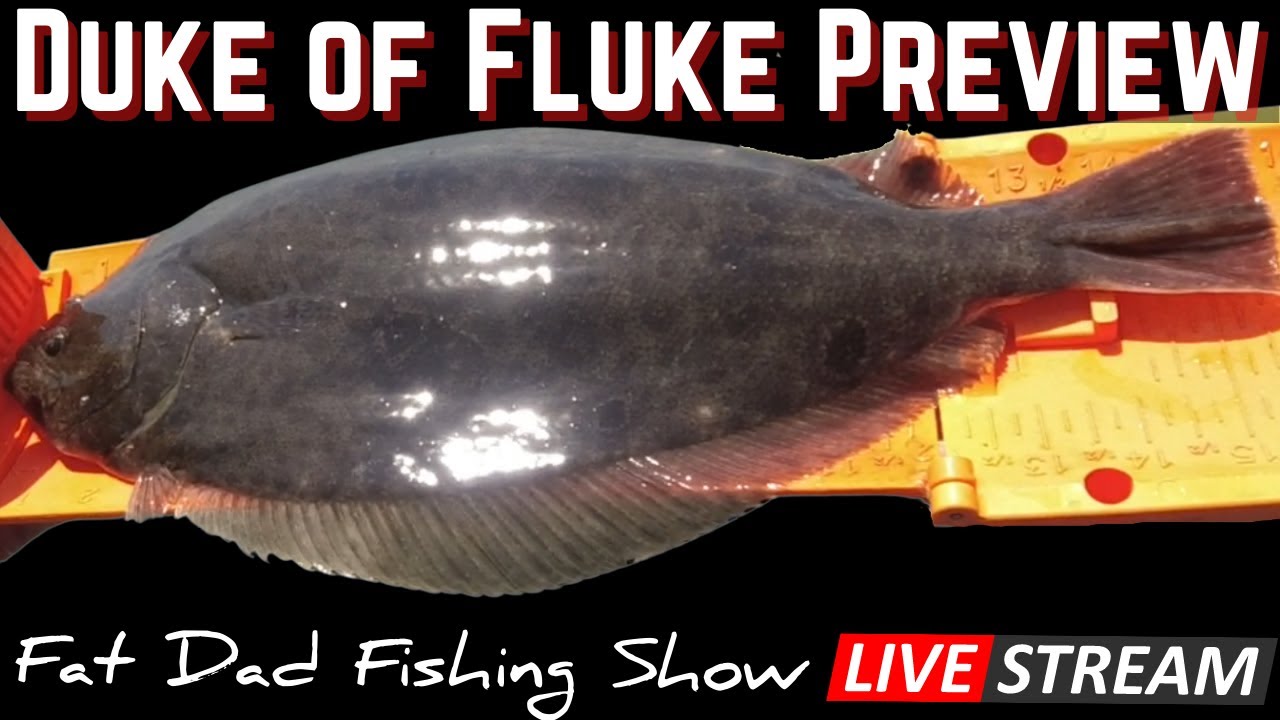 Duke of Fluke Preview - Fat Dad Fishing Show - YouTube
