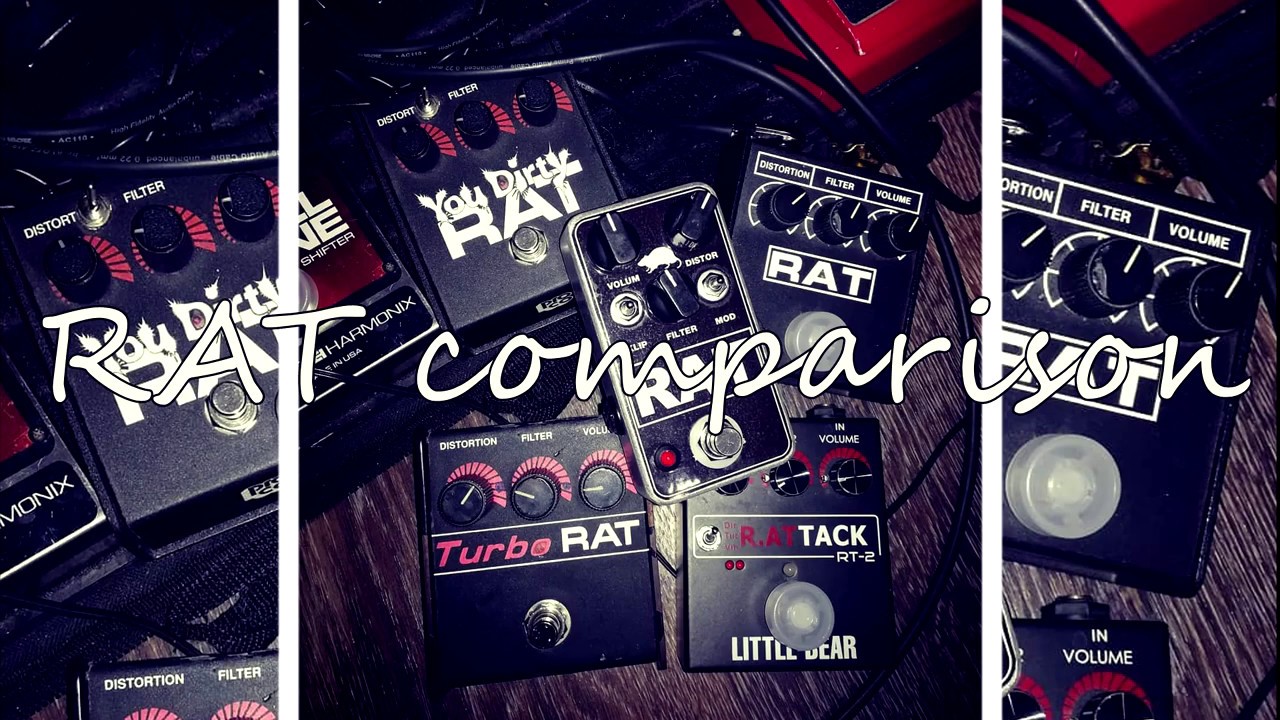 Proco RAT pedals comparison - Turbo Rat, You Dirty Rat, Rat 2, Ratatack ...