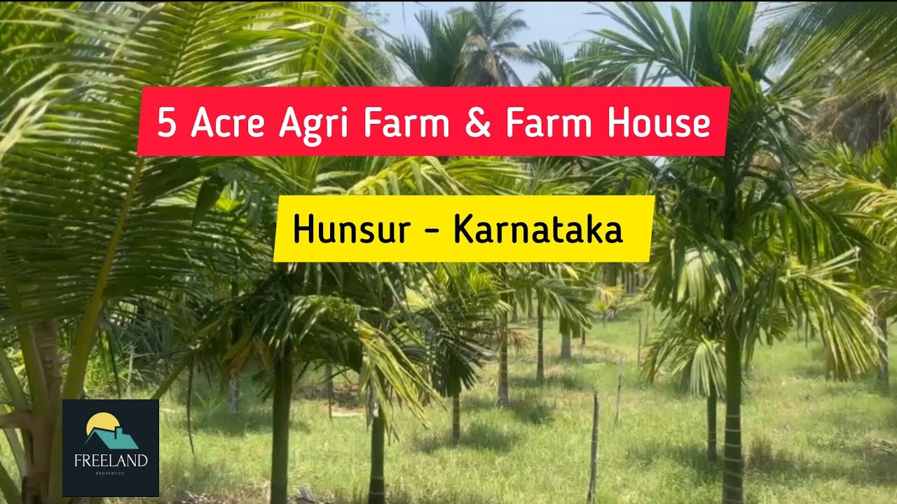5 Acre Coconut & Areca Nut Farm with Farm Hoise For Sale | Hunsur ...