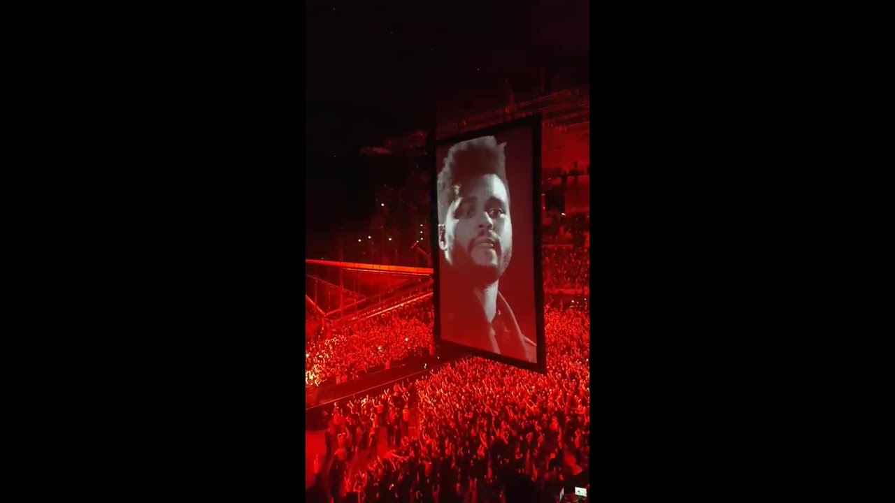 THE WEEKND - FALSE ALARM / GLASS TABLE GIRL / THE HILLS - YouTube