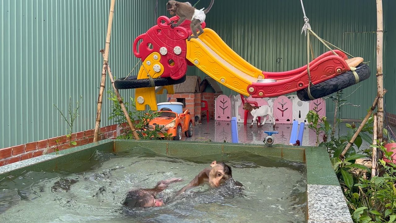 Super cute sam boy Asher swims underwater - YouTube