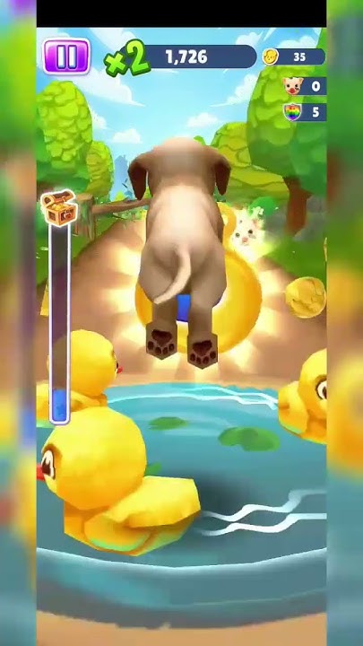 pet run puppy dog game play #shorts - YouTube