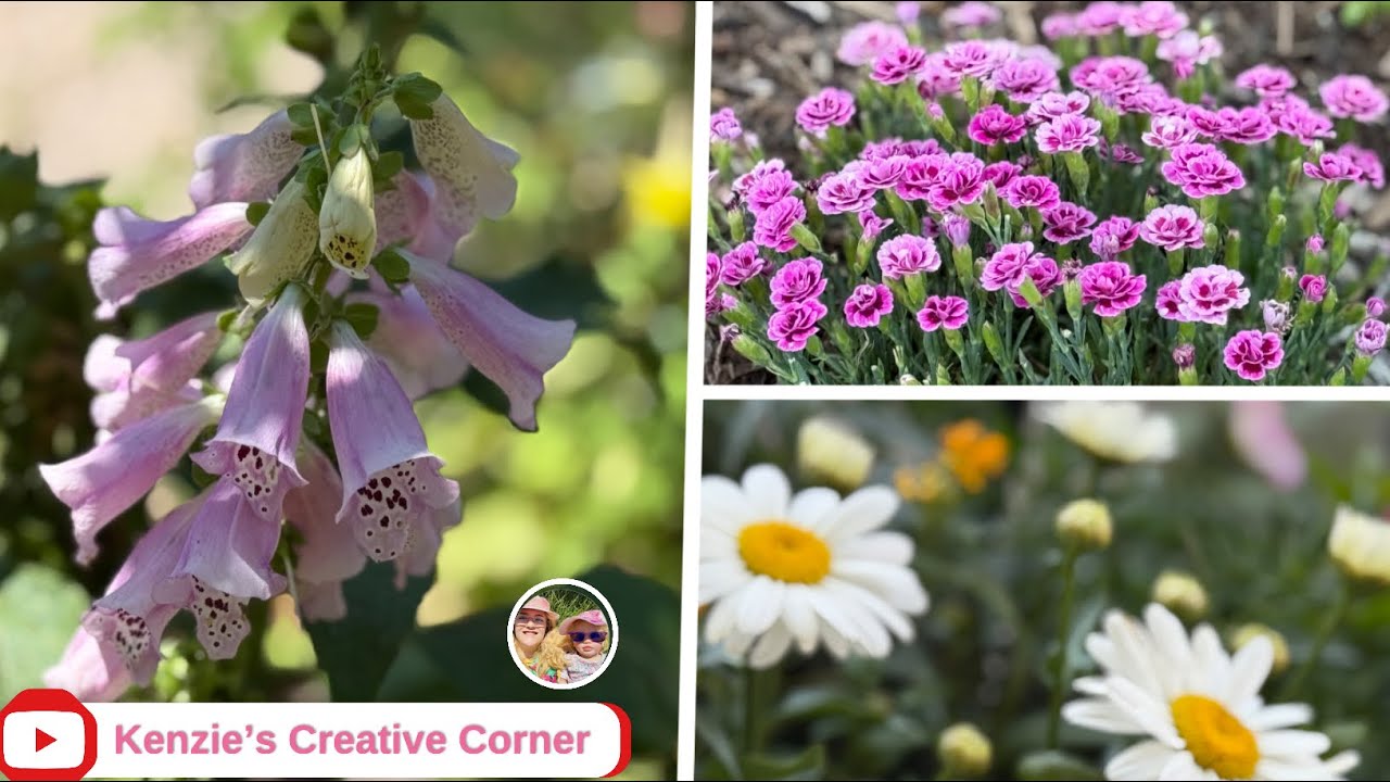 Pretty flowers!! (I Did A Good Job Taking These Pictures!) - YouTube