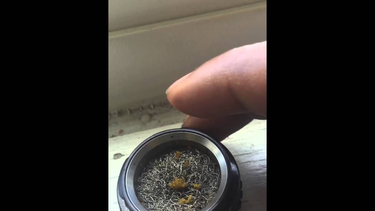 Volcano vaporizer with wax - YouTube