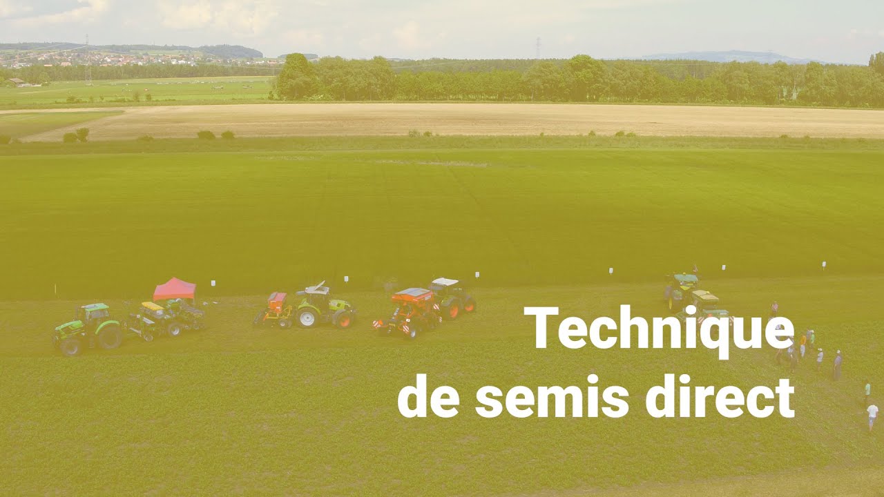 Technique de semis direct - YouTube