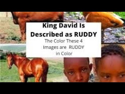 RUDDY IS PART OF THE DIFFERENT SHADES OF BROWN SKIN COMPLEXION OF THE ...