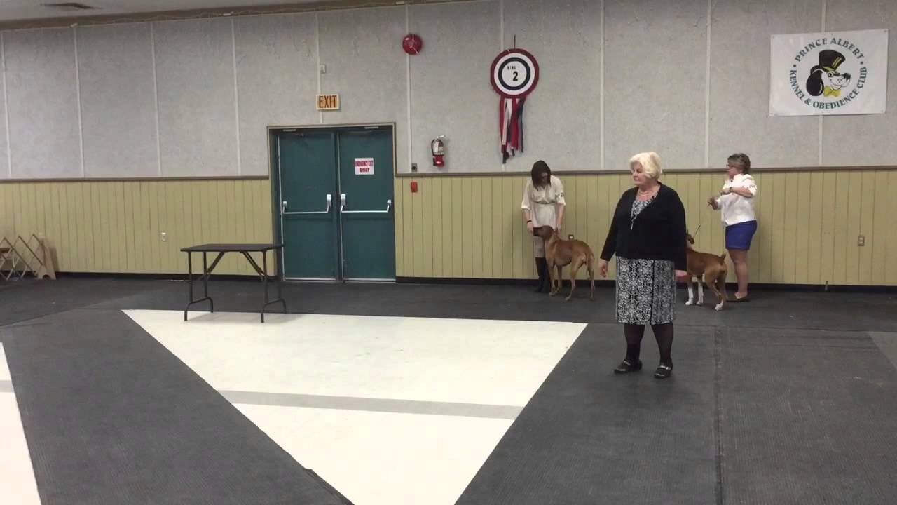 Nell - Best in Show - YouTube