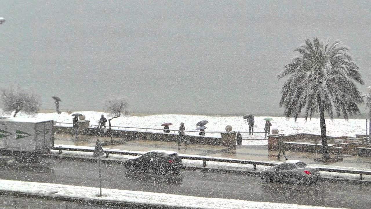 Nevada en Palma de Mallorca. 4-Feb-2012 - YouTube