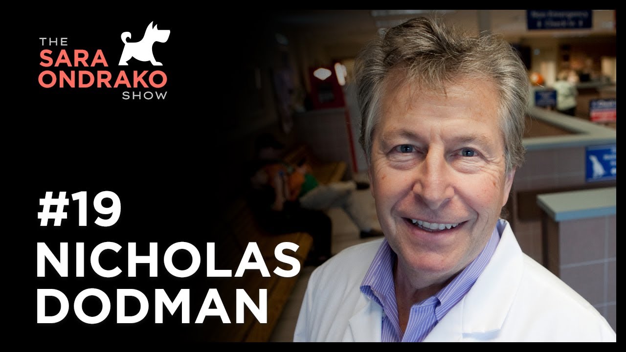 Separation Anxiety & Research - Dr. Nicholas Dodman - YouTube