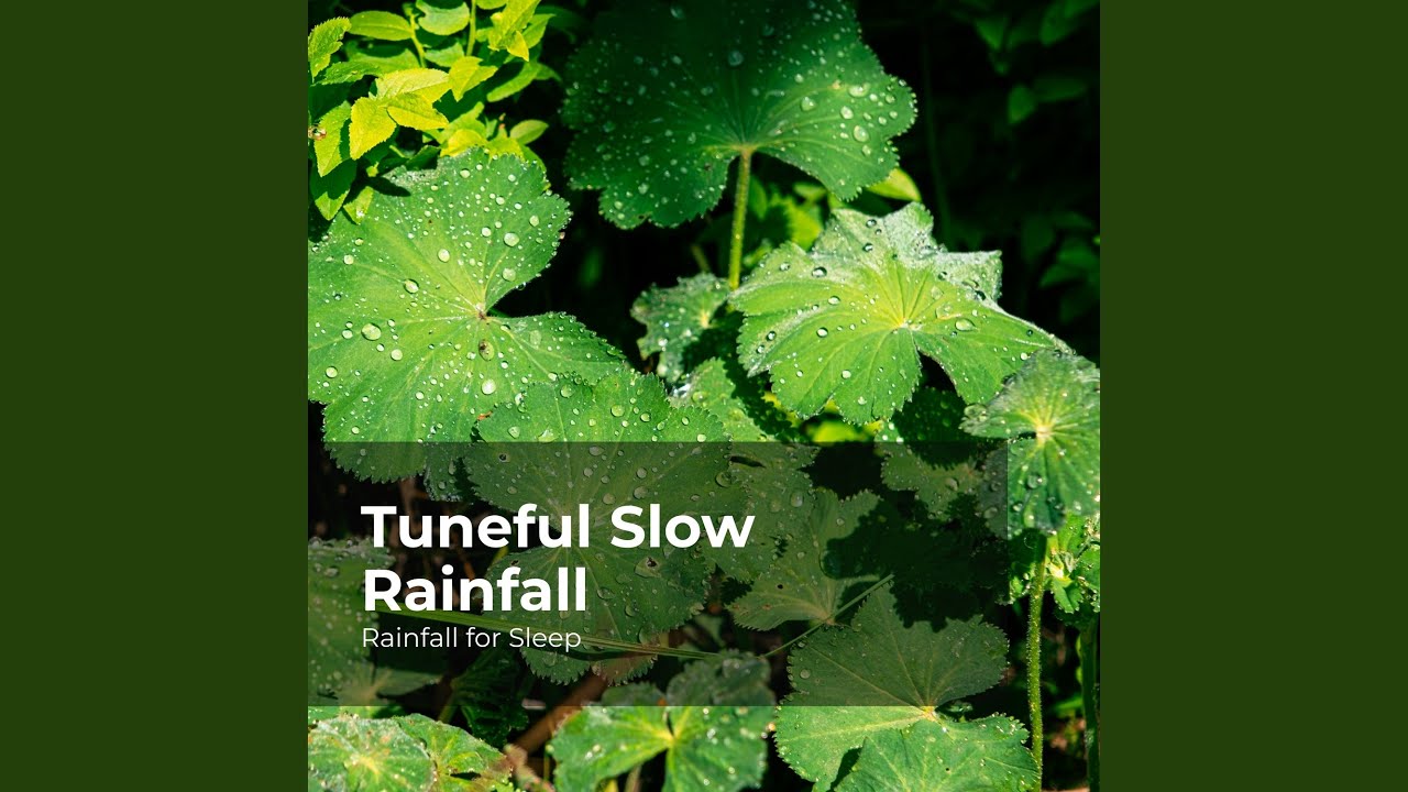 Rain Falling Overnight - YouTube