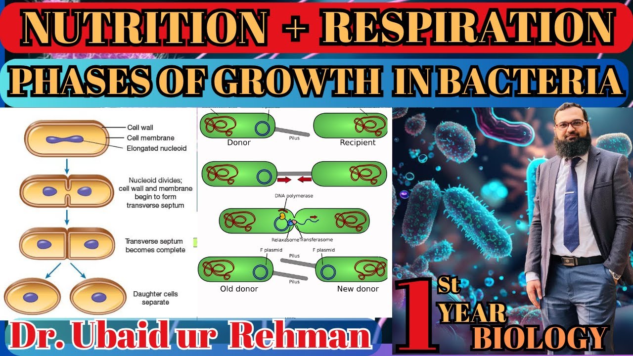6.4 Types of Nutrition & Respiration in Bacteria | Phases of Growth in ...