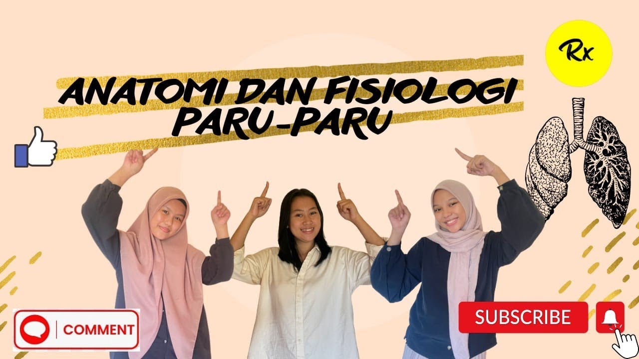 Anatomi Paru - paru - YouTube