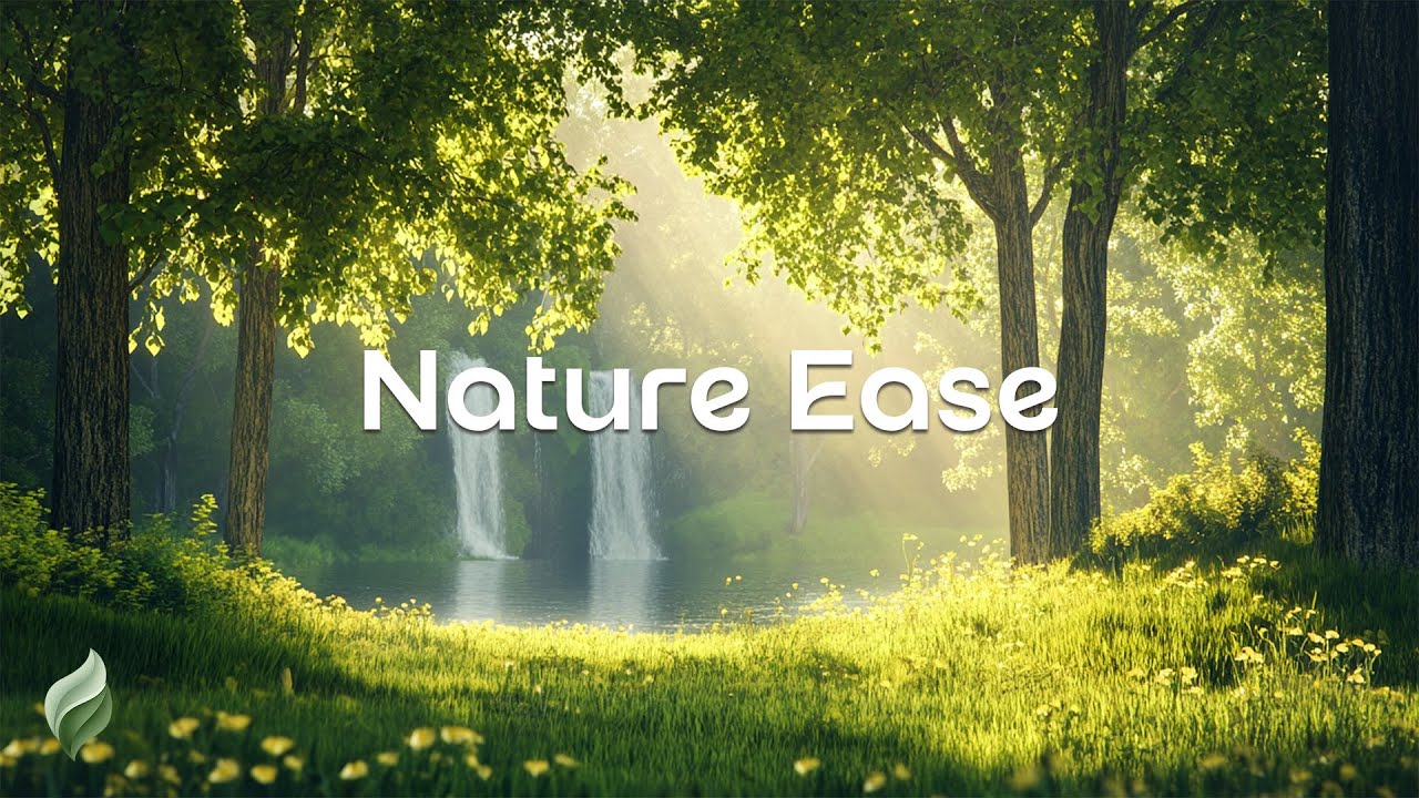 Soft Healing Music to Bring Your Mind Back to a Place of Quiet - YouTube