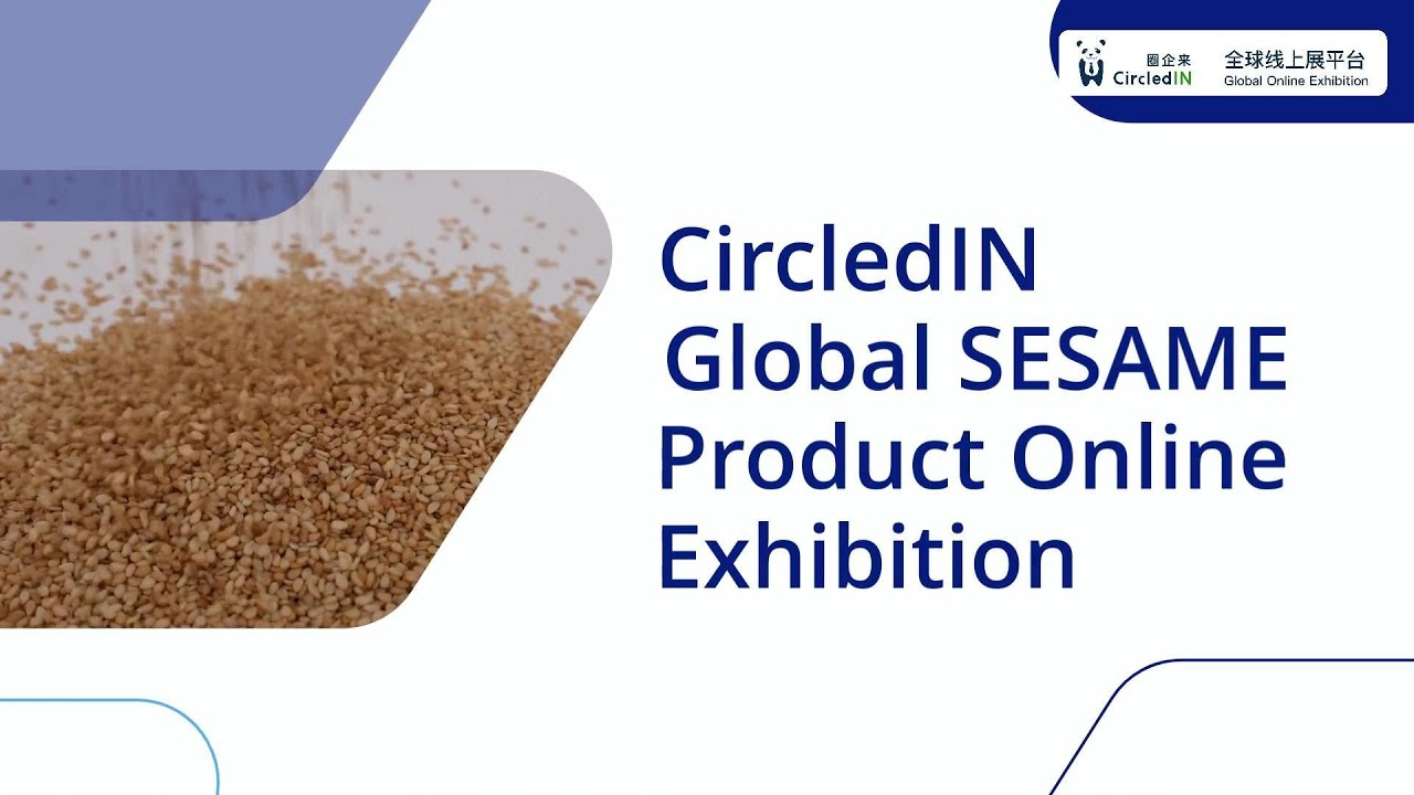 Sesame Global Online Exhibition - YouTube