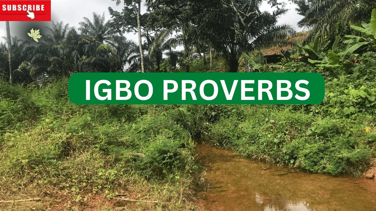 Igbo Proverbs And Explanation Understanding The Igbo Proverbs In igbo-proverbs-and-explanation-understanding-the-igbo-proverbs-in