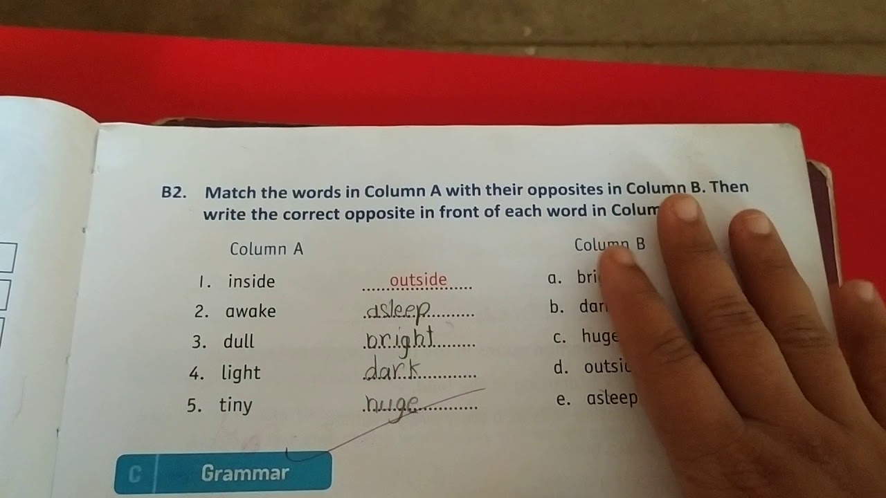 Grade 2 - Real English - Poem 1 - Ex. B1 and B2 - YouTube