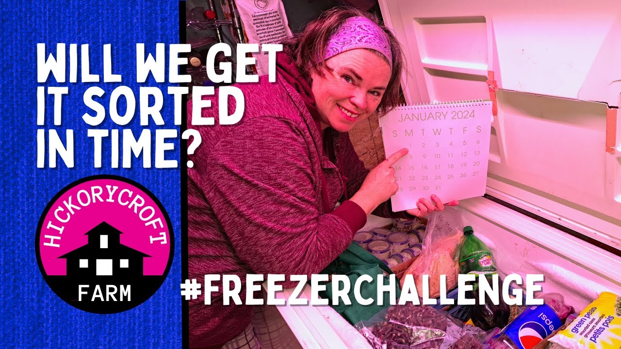 FREEZER CHALLENGE: Organizing Our Freezers Before The Pantry Challenge ...