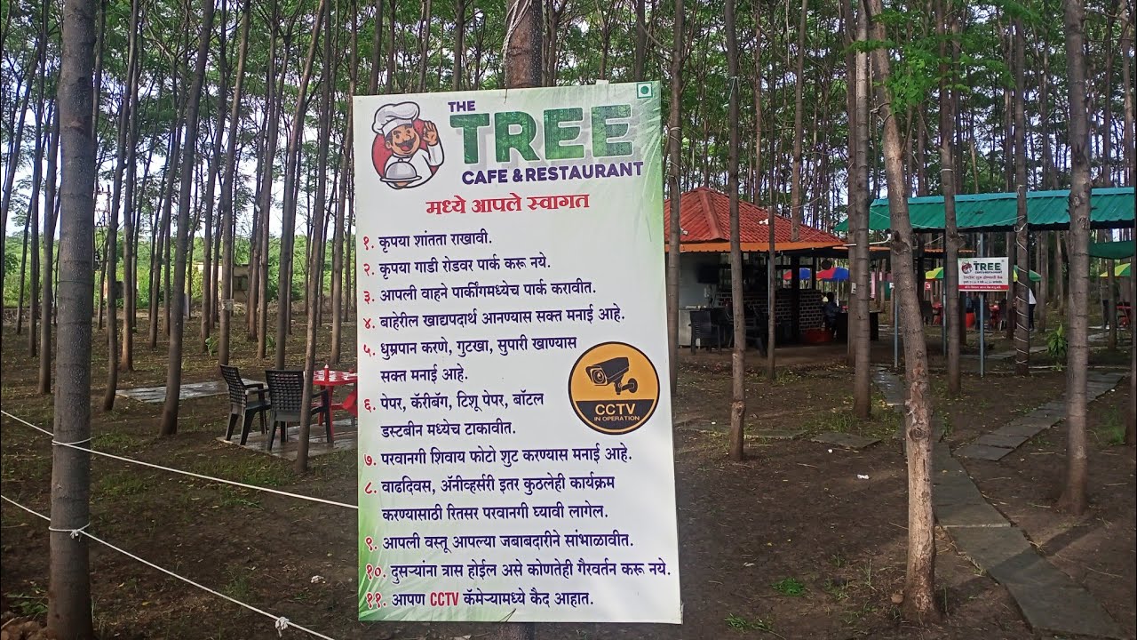 || Tree Cafe Latur Kavha Road best coffee shop latur live || - YouTube