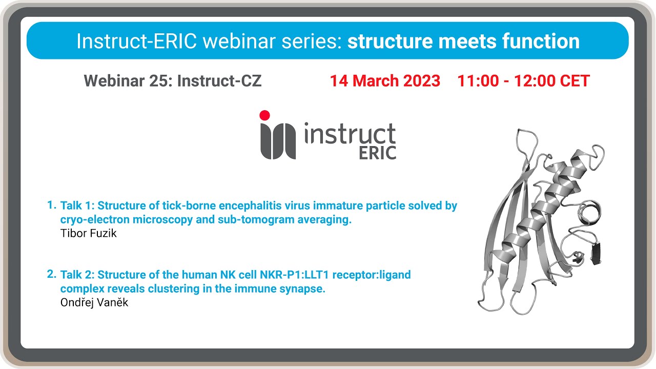 Instruct-ERIC Webinar | Structure Meets Function 25 - YouTube