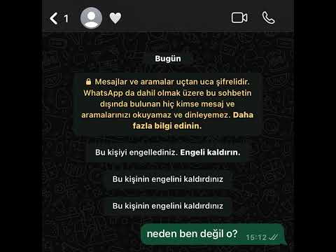 Kurs0t - neden ben değil o (2024)