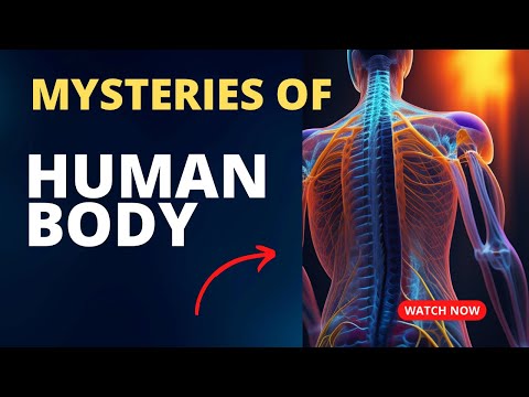 Top 10 Unraveled Mysteries of the Human Body