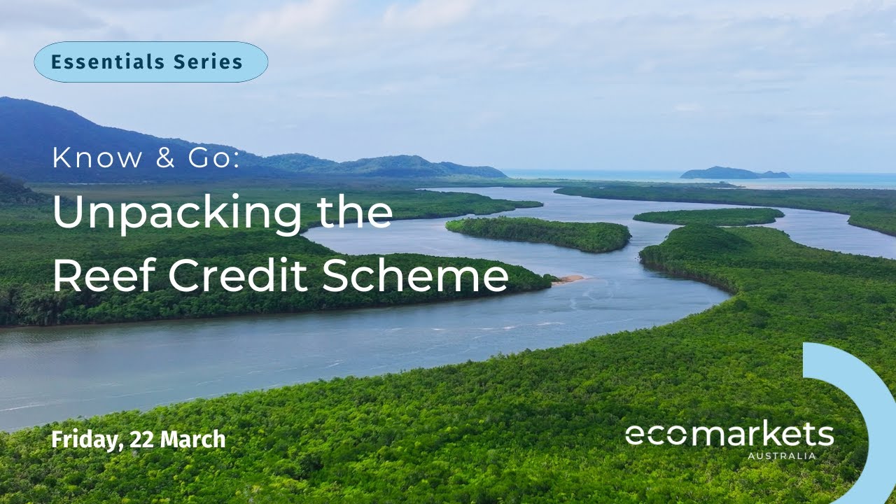 Essentials Series: Unpacking the Reef Credit Scheme - YouTube