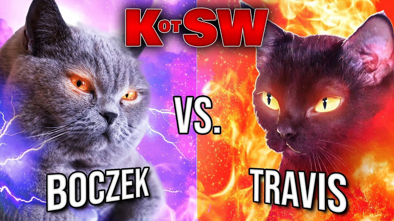 KOT VS KOT (Boczek VS Travis) - YouTube
