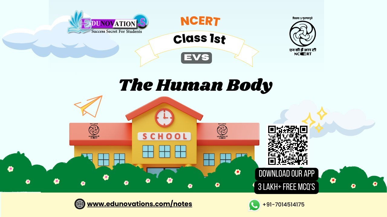 The Human Body | Class 1 EVS | NCERT | CBSE - YouTube