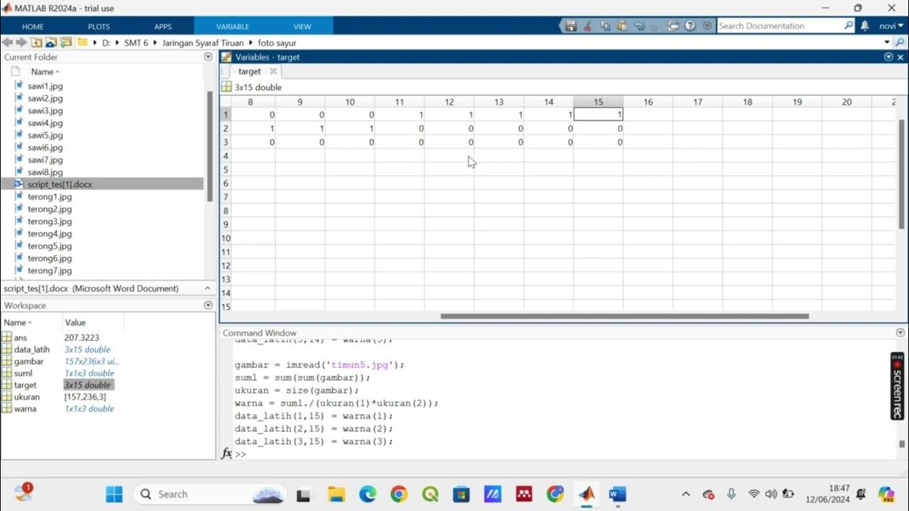Penerapan Jaringan Syaraf Tiruan Menggunakan Aplikasi Matlab - YouTube