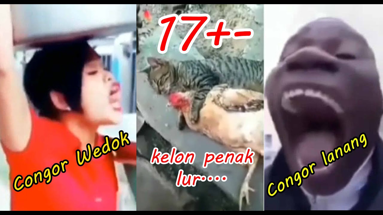 Random Para Tolol Lucu Part3 - YouTube