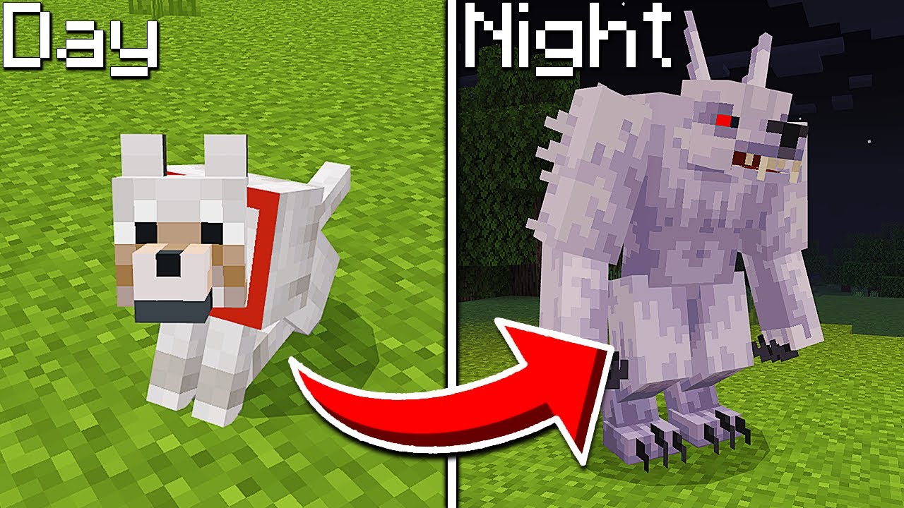 Minecraft Wolf Turns Into a Werewolf At NIGHT... - YouTube
