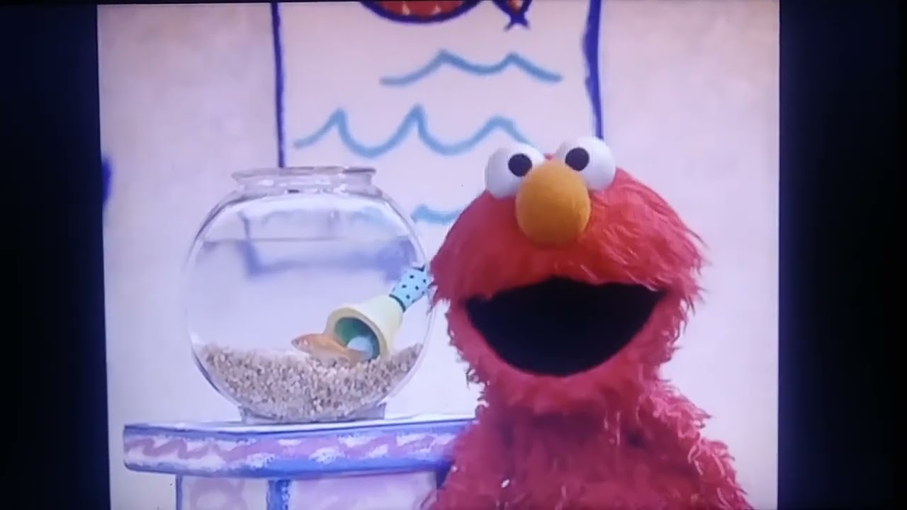 Elmo's World Dorothy's Bells Question - YouTube