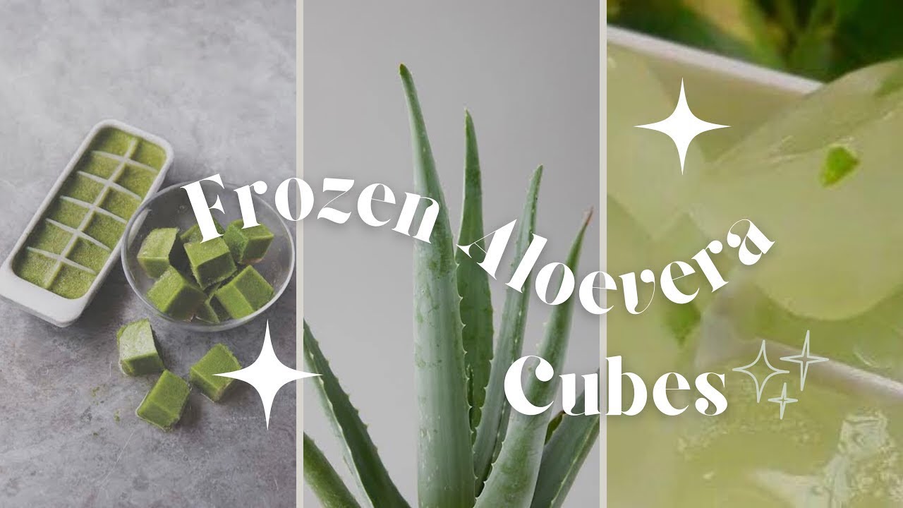 Frozen Aloe Vera Cubes For Glowing Skin! - YouTube