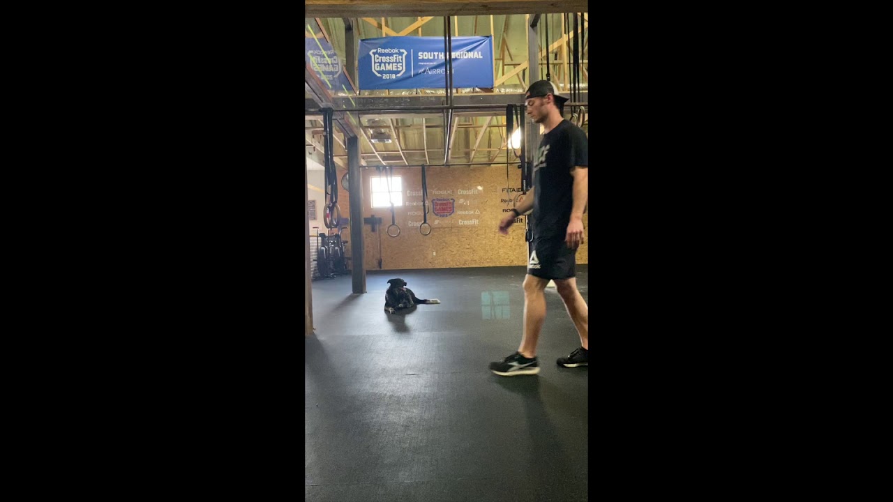 Soldier Kicks - YouTube