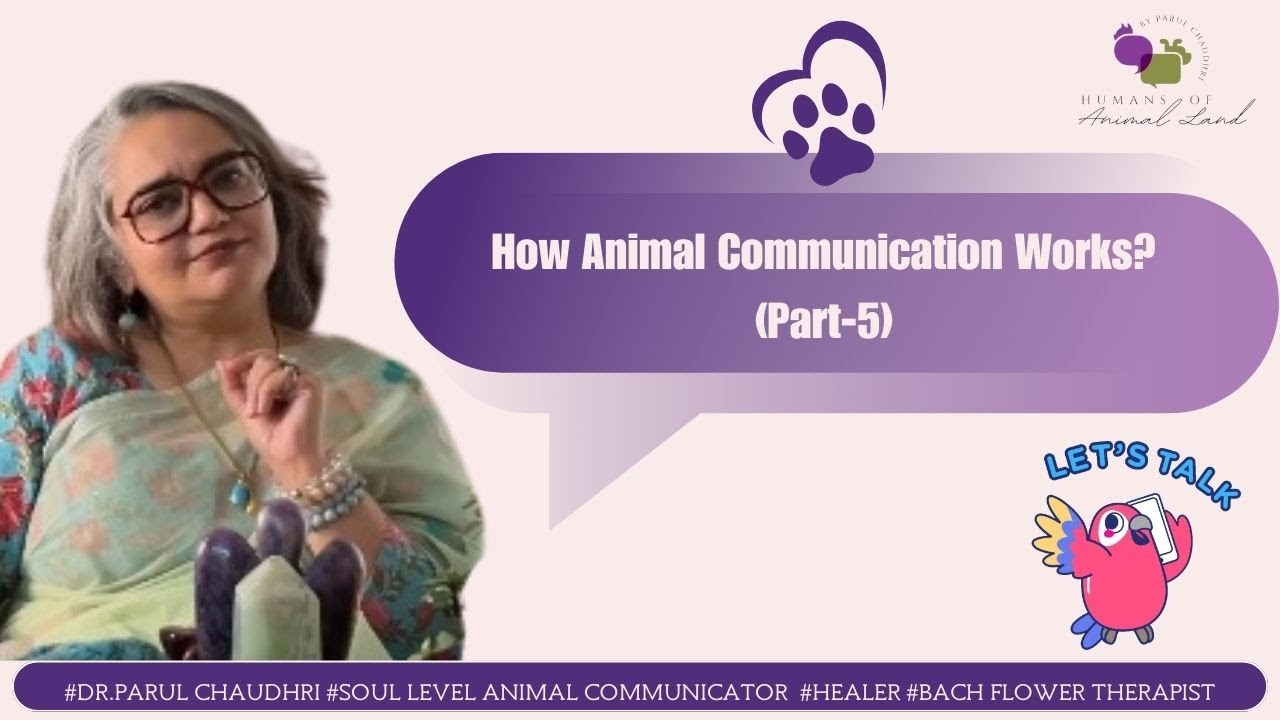 How Animal Communication Works? (Part- 5) - YouTube