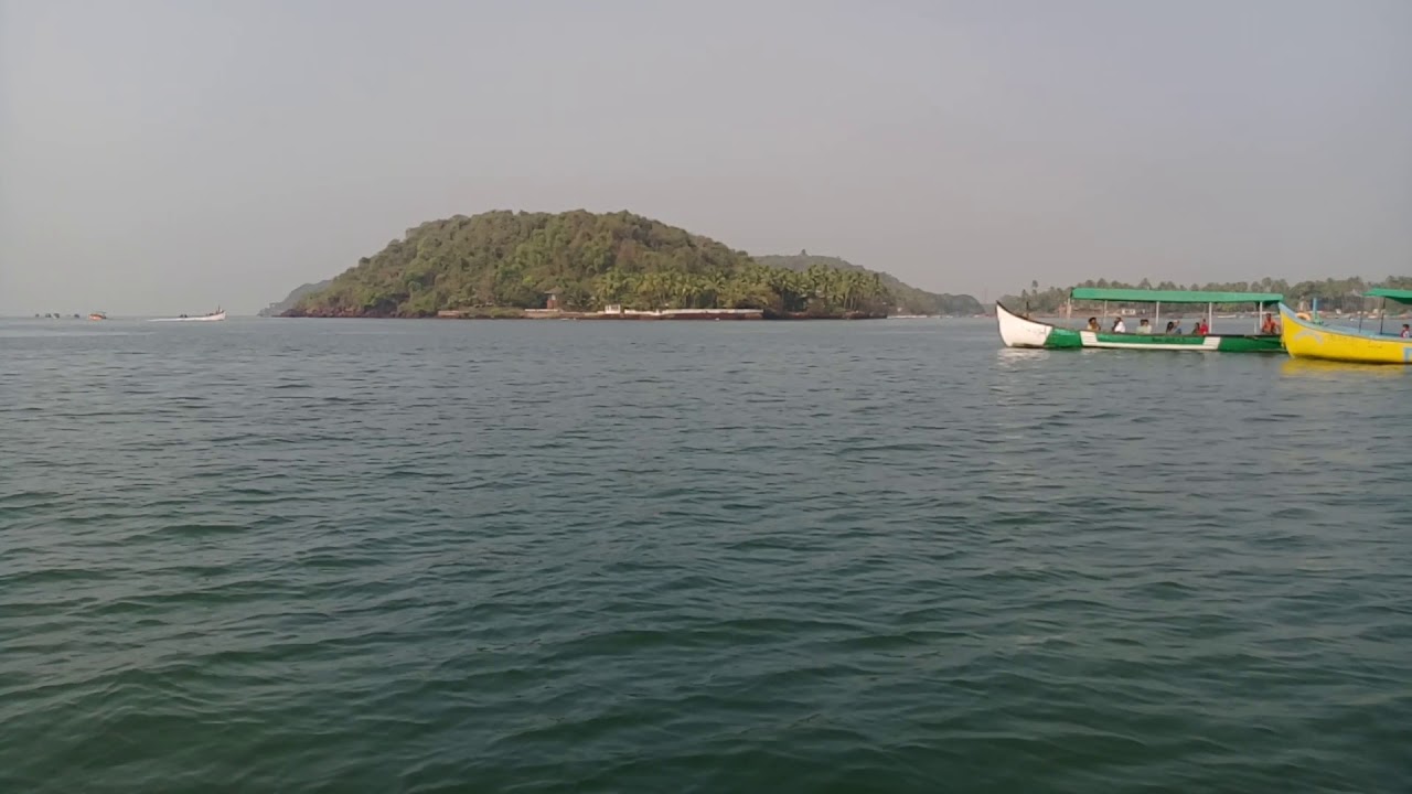 Goa-dolphin view - YouTube