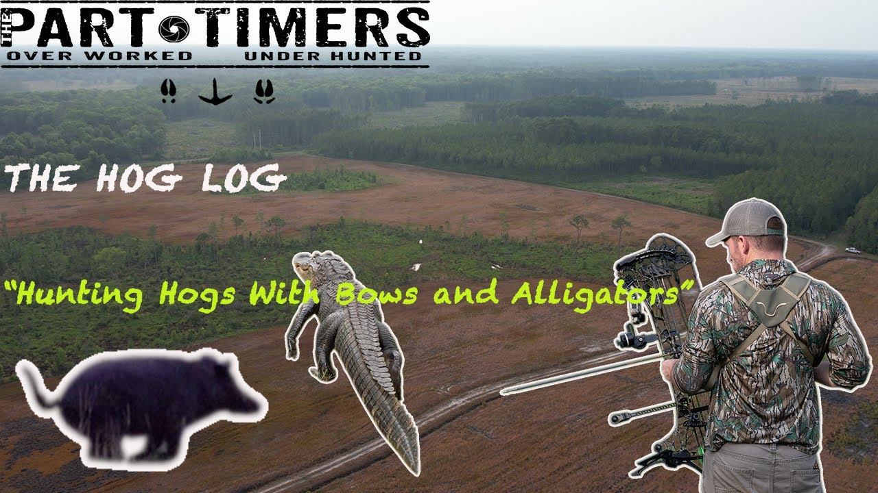 Hog Hunting With Bows And Alligators | AWESOME SPOT AND STALK HUNT ...