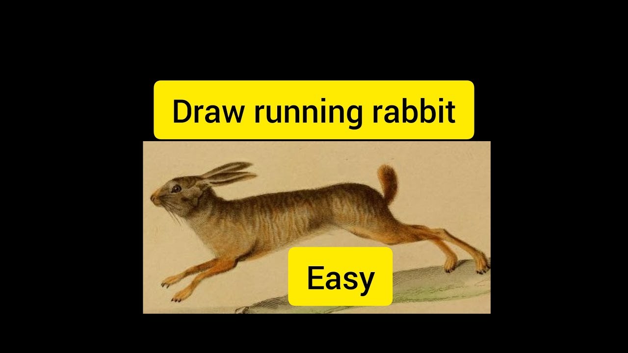 Running rabbit drawing - YouTube