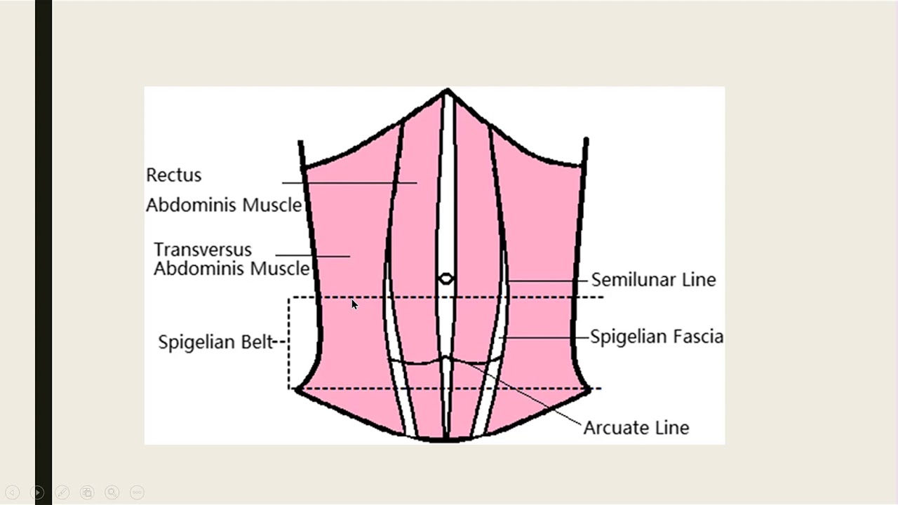 Hernia 3 Other Types Of Hernia YouTube hernia-3-other-types-of-hernia-youtube