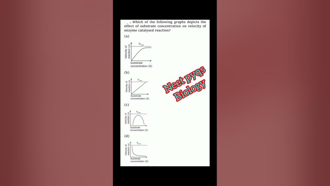 Comment Answer Youtube