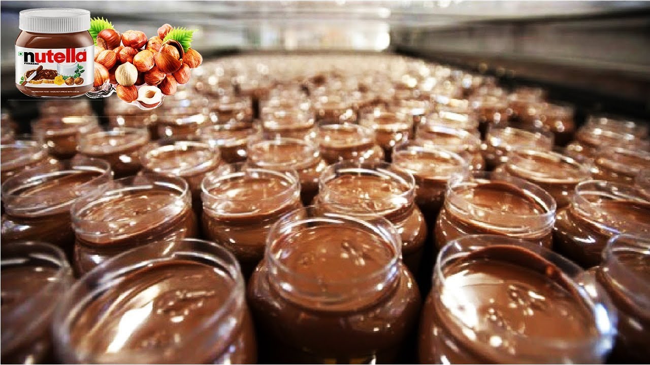 Hazelnut harvesting machine - Hazelnut production process in factory ...