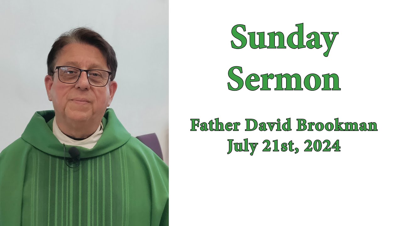 Sunday Homily by Fr. David on July 21, 2024. - YouTube